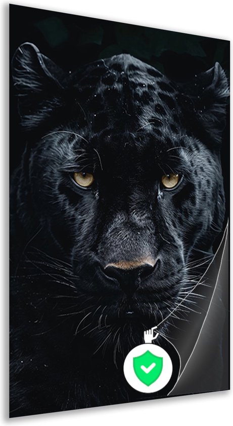 Zwarte panter poster - Panter posters - Muurdecoratie Dier ...
