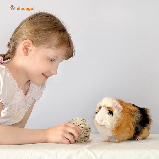 Cavia Speelgoed Natuurlijke Kauwactiviteit - Hooigras Huisdier Ballen ...