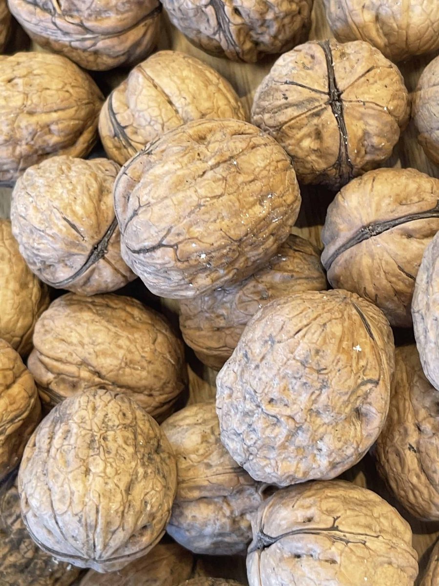 Walnoten in dop - 400 g | bol