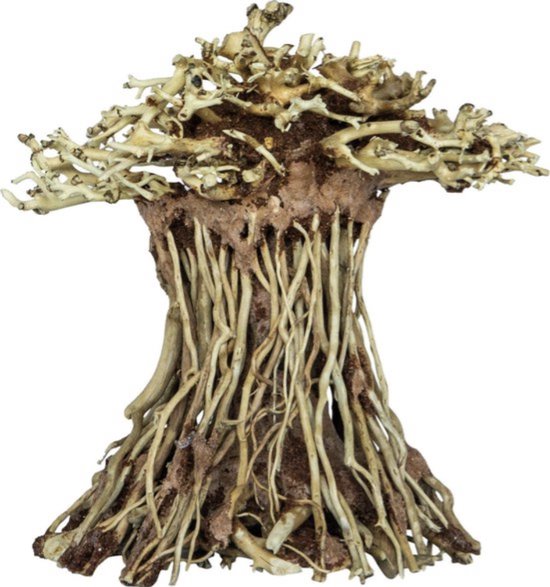 Superfish bonsai mushroom large | Hout decoratie aquarium | bol