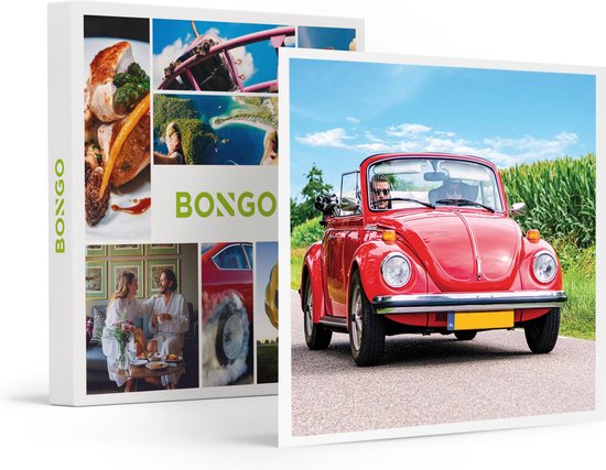 Bongo Bon - DAGTOCHT IN EEN VOLKSWAGEN KEVER CABRIO VOOR 4 PERSONEN ...