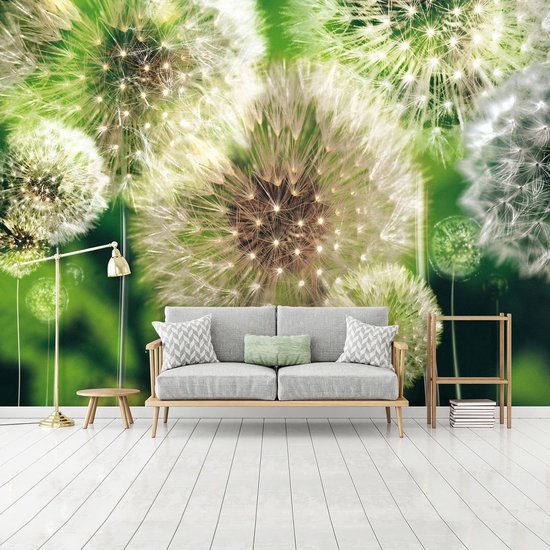 Fotobehang - Vlies Behang - Paardenbloemen - Bloemen - Paardebloemen ...