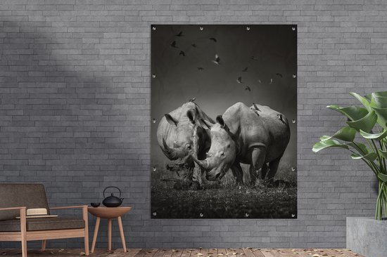 Muurdecoratie buiten Neushoorn - Vogel - Dieren - Landschap - Zwart wit ...