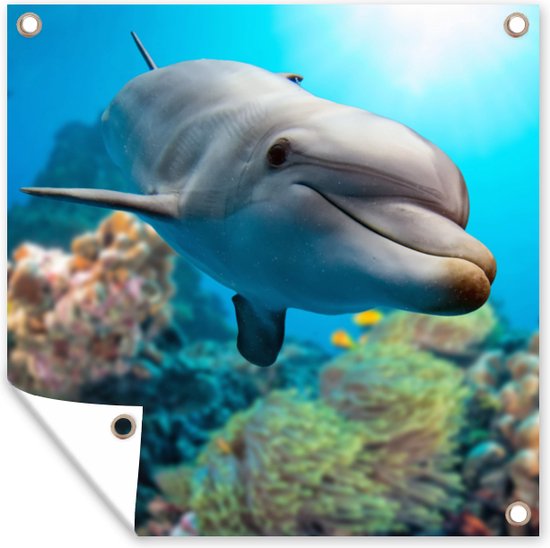 Tuindoek Dolfijn - Zee - Koraal - 100x100 cm | bol.com