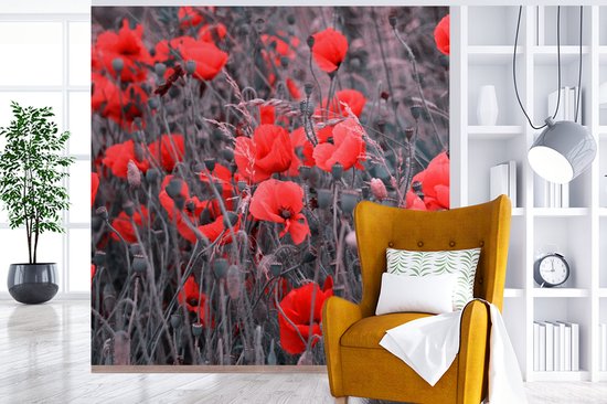 Behang - Fotobehang Rode Klaprozen in een zwart wit afbeelding ...