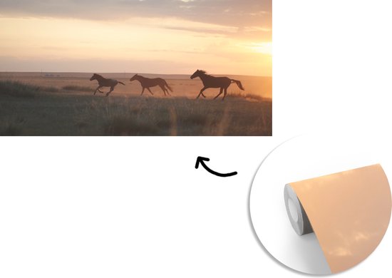 Behang - Fotobehang Wilde paarden rennen in een grasveld - Breedte 430 ...