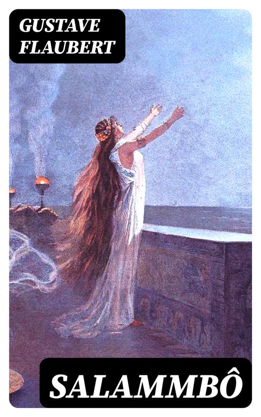 Salammbô (ebook), Gustave Flaubert | 8596547386933 | Boeken | bol.com