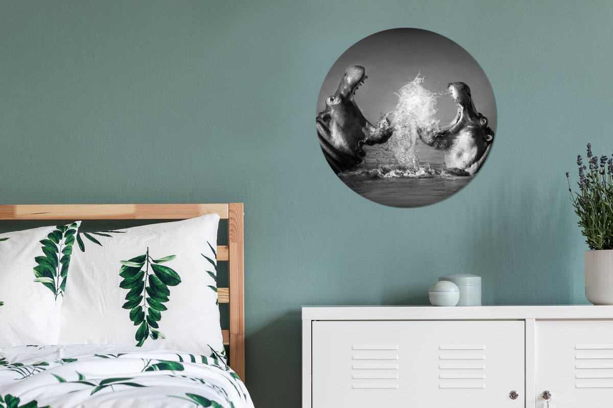 Behangcirkel - Zelfklevend behang - Dieren - Nijlpaard - Water - Zwart - Wit - 80x80... | bol.com