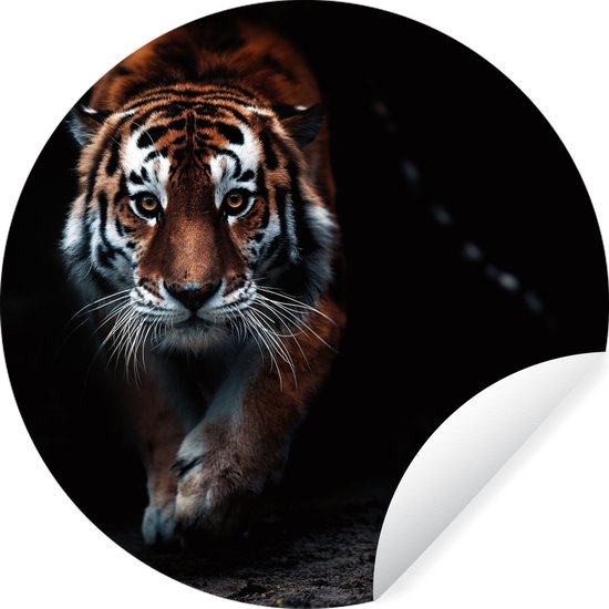 Behangcirkel - Behangsticker - Tijger - Wilde dieren - Zwart - Natuur - Behangcirkel... | bol
