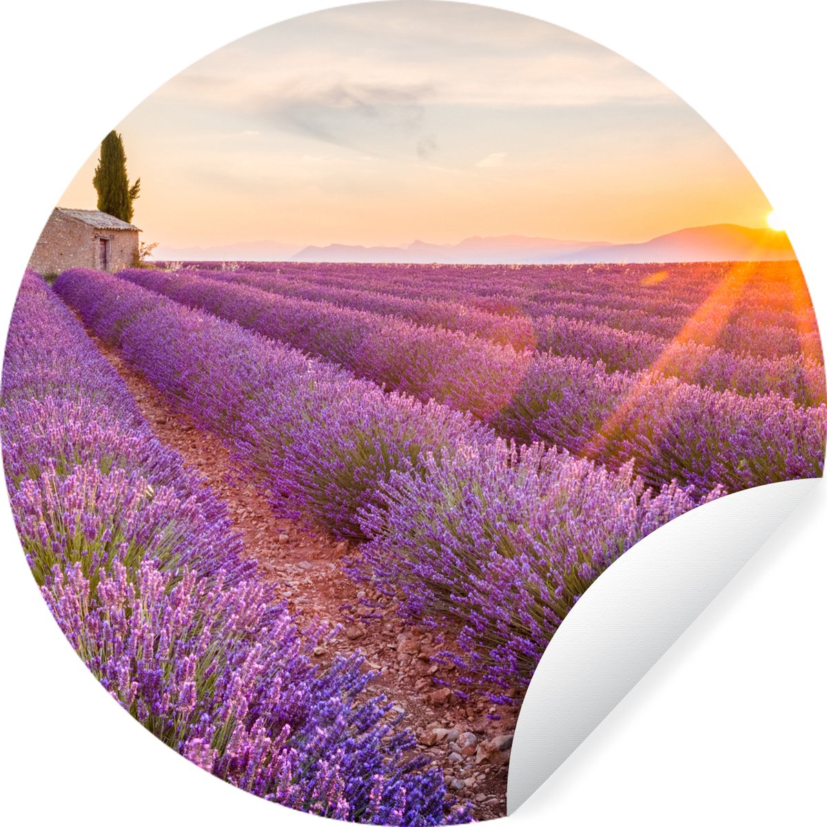 MuchoWow - Behangcirkel - Lavendel - Bloemen - Zonsondergang - Natuur ...