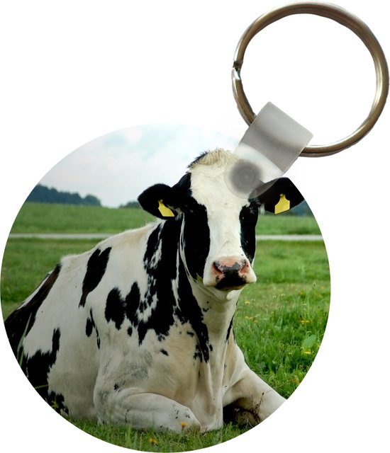Sleutelhanger - Koe - Friesland - Dier - Plastic - Rond ...