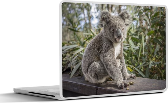 Laptop sticker - 15.6 inch - Koala - Hout - Planten - Kids - Jongens ...
