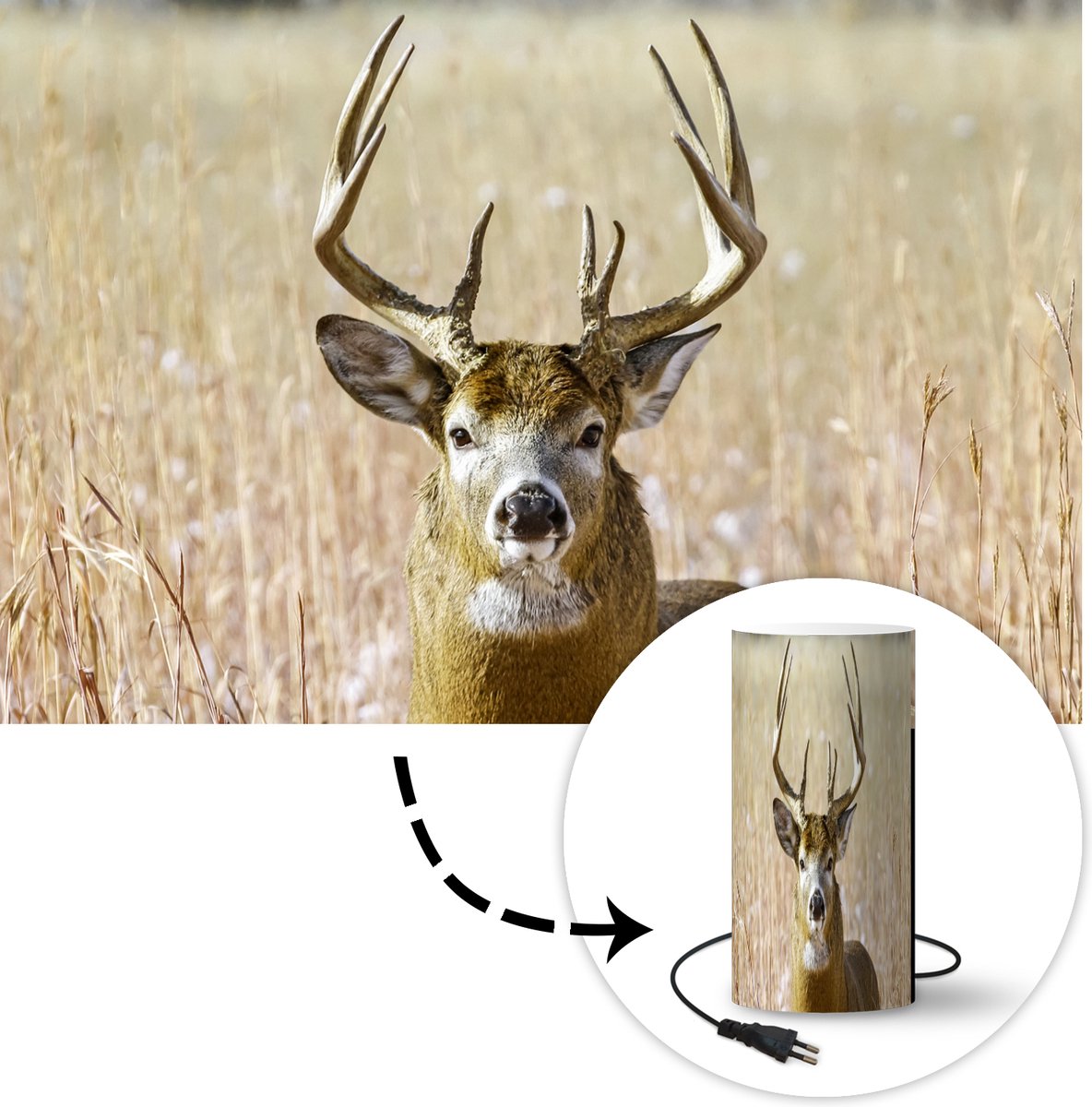 Lampe - Veilleuse - Lampe de table chambre - Cerf - Herbe - Animaux ...