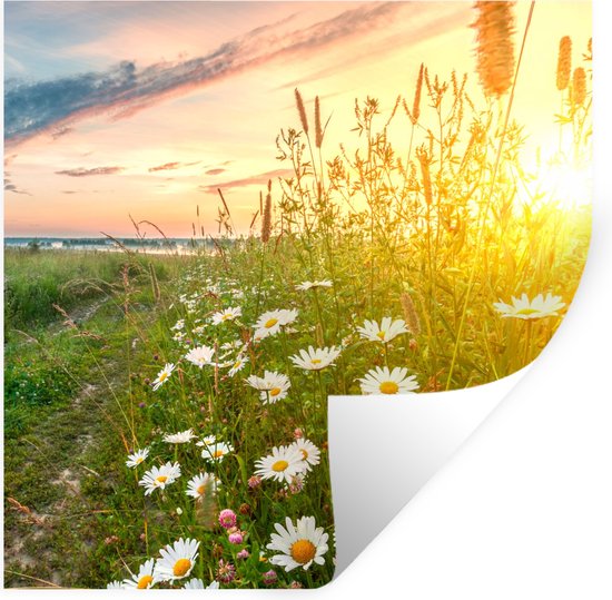 Muurstickers - Sticker Folie - Bloemen - Madelief - Natuur - Zon ...