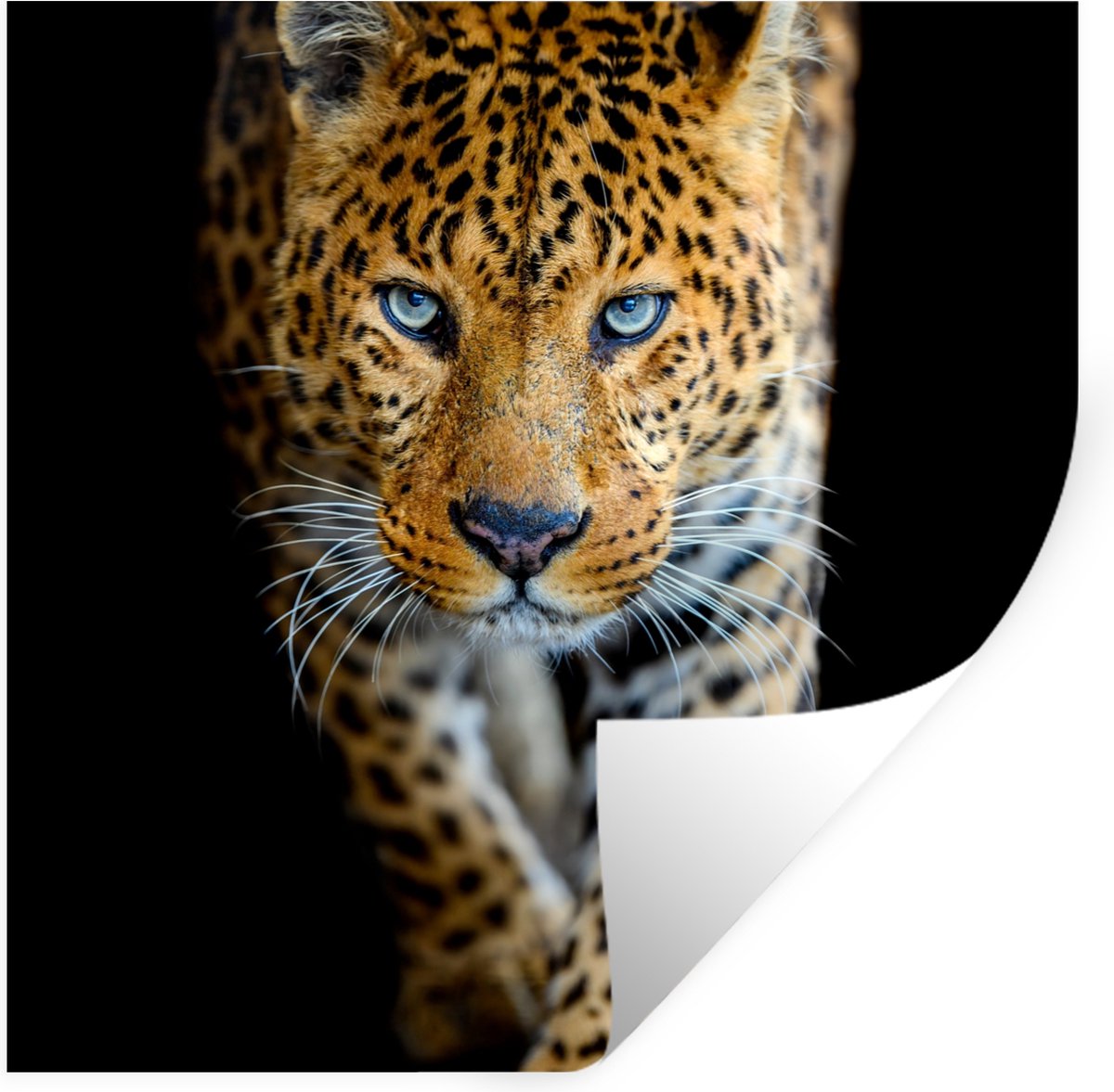 Muurstickers - Sticker Folie - Luipaard - Dieren - Portret - Wilde dieren - Zwart -... | bol.com