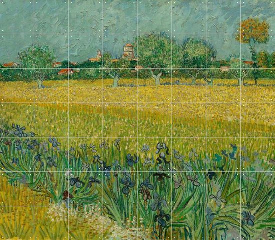 IXXI Veld met irissen bij Arles - Vincent van Gogh - Wanddecoratie - 140 x 160 cm | bol.com