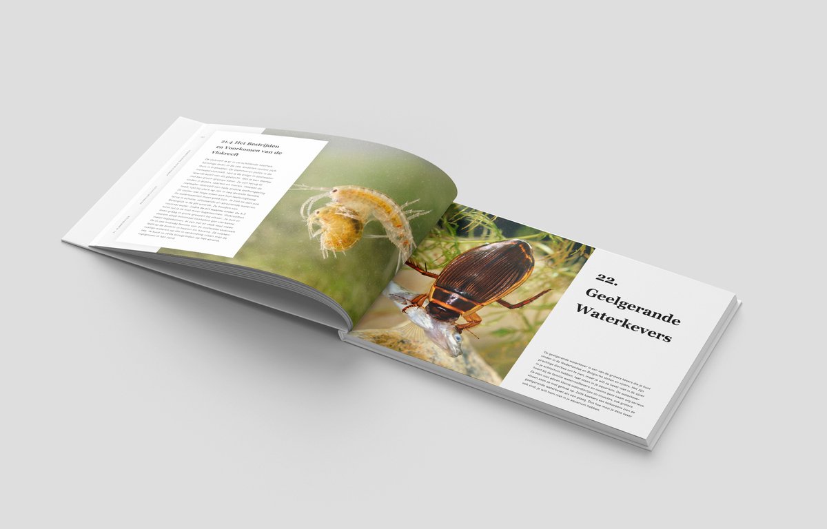 Het handboek De Plaagdieren Van Het Zoetwateraquarium, Marco van ...