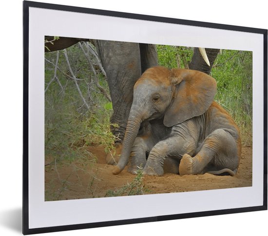 Fotolijst incl. Poster - Olifant - Dieren - Zand - Natuur - 60x40 cm ...
