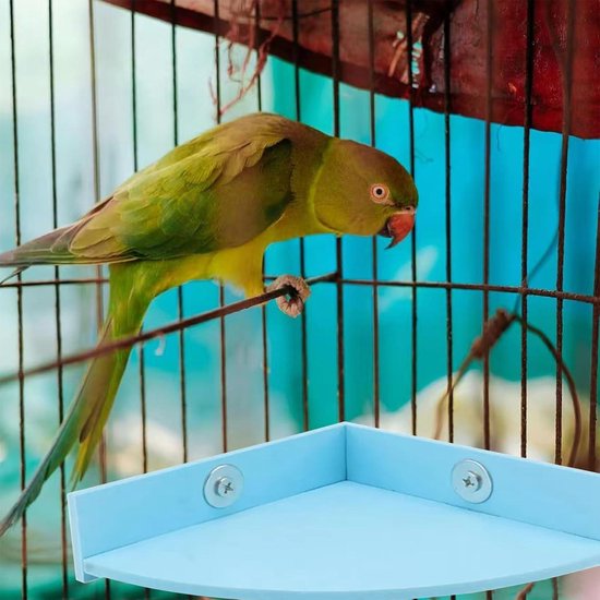 Hamster Kooi Plank Driehoekige Hoek Platform Set van 2 met schroeven | bol