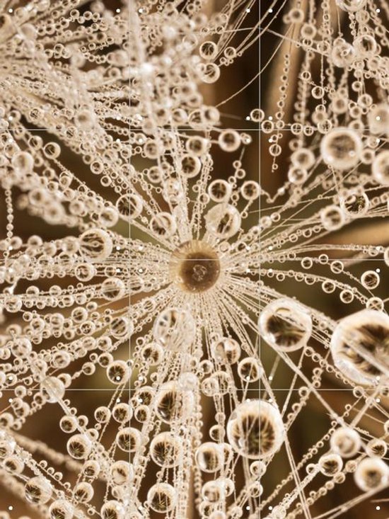 IXXI Een abstracte structuur uit de natuur, Marjolijn van den Berg - 60 ...