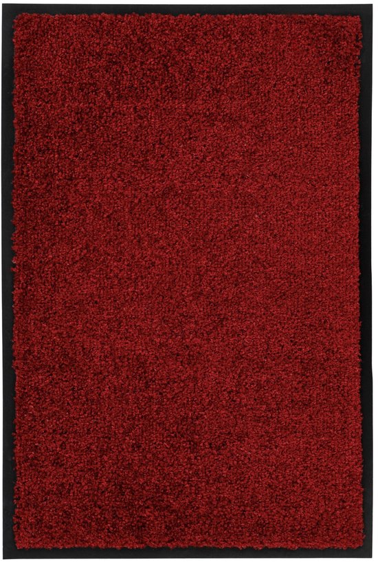 Droogloopmat Amsterdam - Deurmat Binnen – 100% Polyamide, Sterk ...