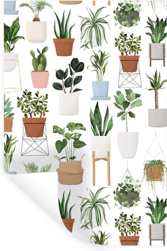 Sticker Muursticker Plantes - Motif de différentes illustrations de ...