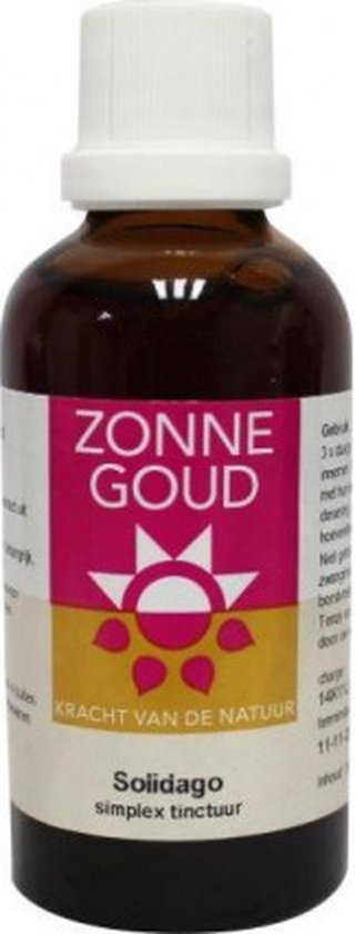 Solidago Simplex Zonnegoud | bol