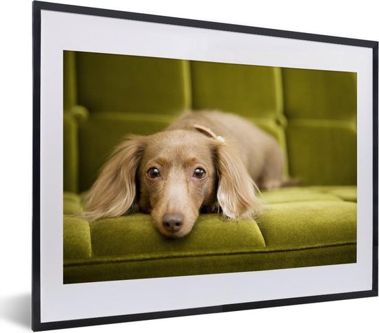 Fotolijst incl. Poster - Een Teckel liggend op een groene bank - 40x30 ...
