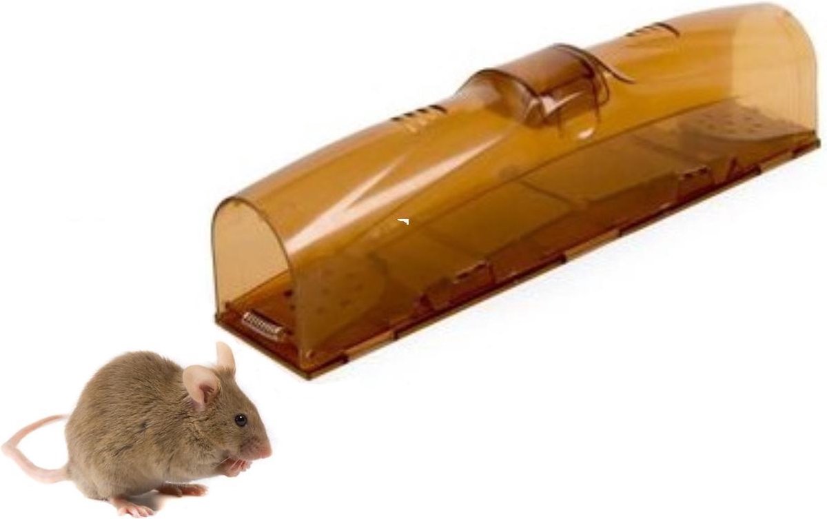 MM Eurotool Muizenval - Muizenvanger - Doorzichtige Kooi - 30 x 6 x 6.5 ...