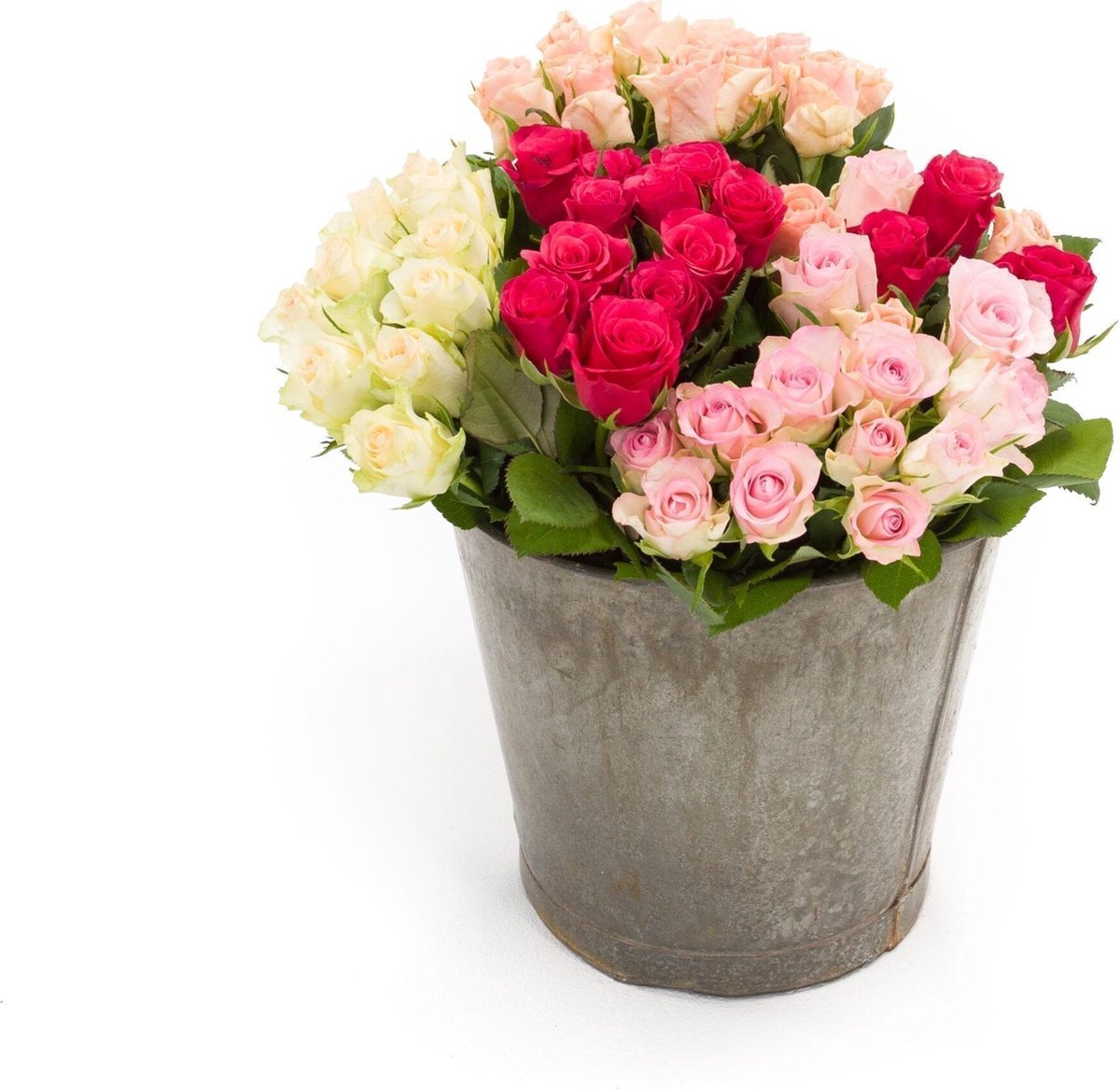 Rozen Kort (50 stelen) | bol