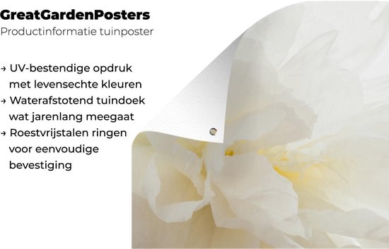 Tuinposter - Tuindoek - Tuinposters buiten - Close-up van een witte ...