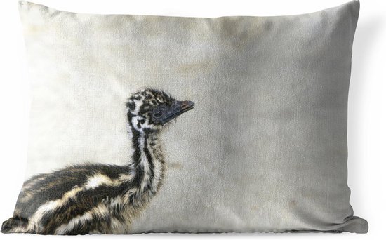 Sierkussen Emoe voor buiten - Baby Emoe met lichte achtergrond - 60x40 ...