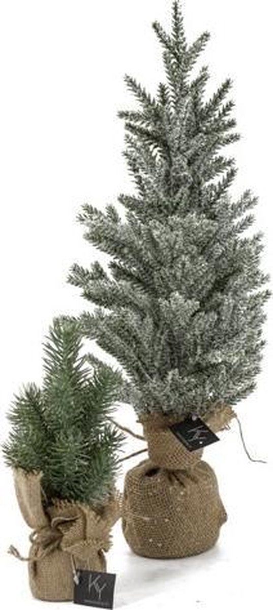 Boompje 46 cm | bol.com