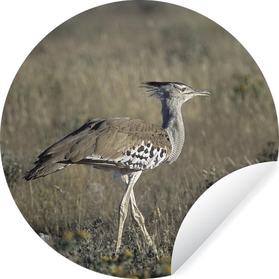 Wandcirkel Koritrap - lopende kori trap inveld - 100x100 cm - rond ...