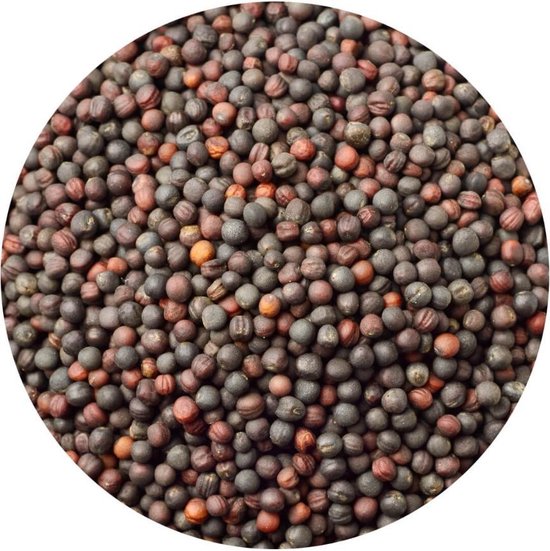 Mosterdzaad Heel Zwart Brassica Nigra - 1 Kg - Holyflavours ...