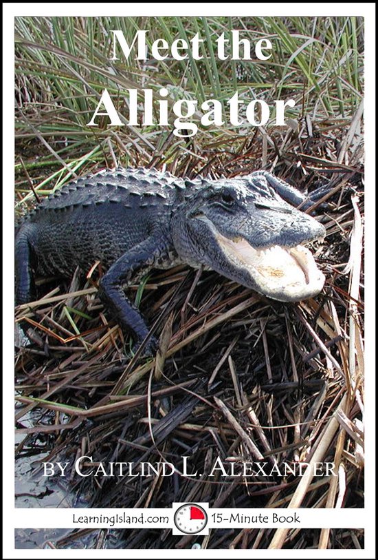 15-Minute Books - Meet the Alligator: A 15-Minute Book for Early ...