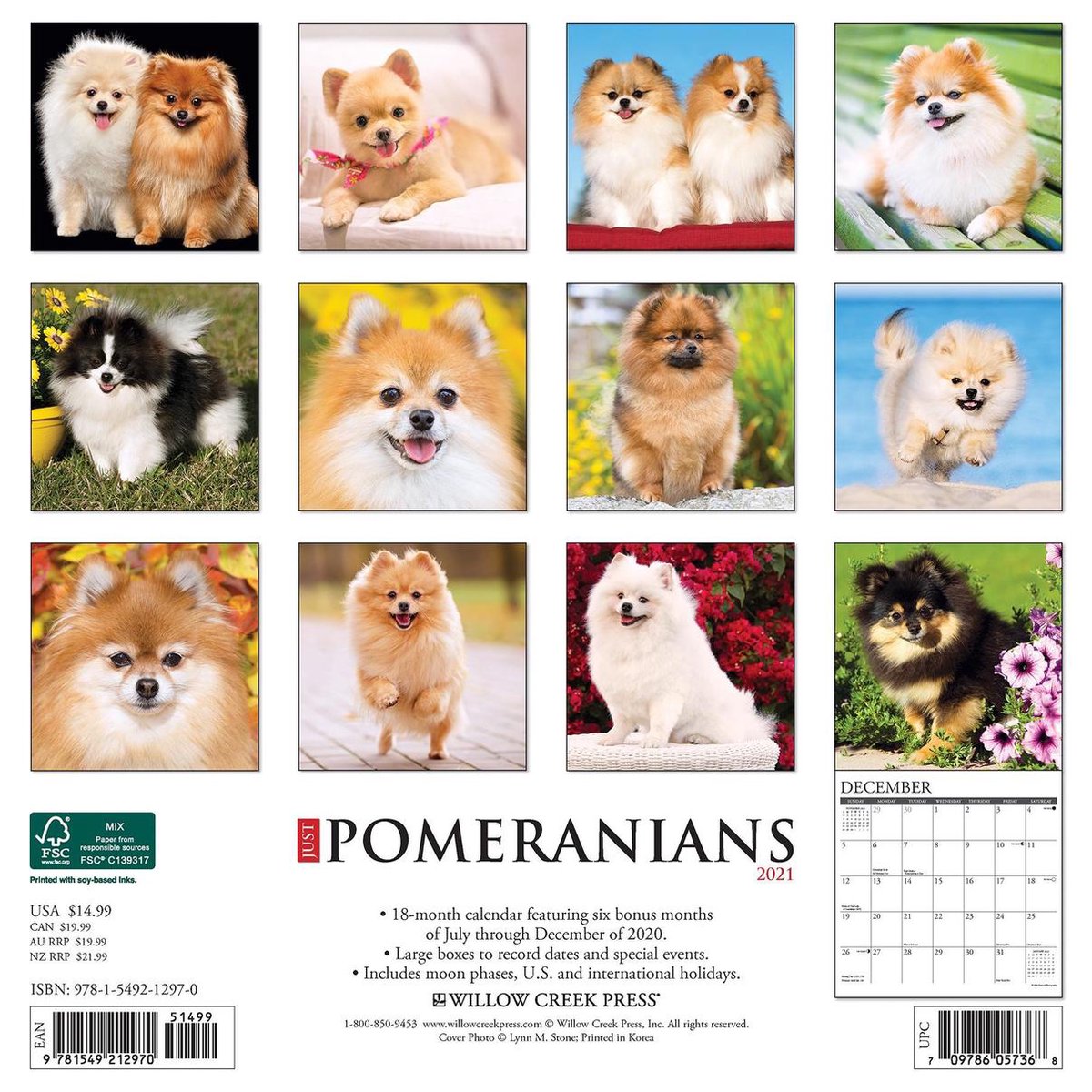 Pomeranian Kalender 2021 | bol.com