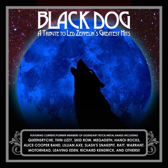 Black Dog, Led Zeppelin Tribute | Muziek | bol