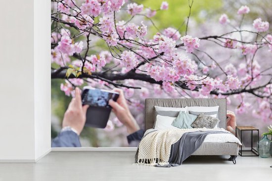 Behang - Fotobehang De mensen maken foto's van sierkers in de volle ...