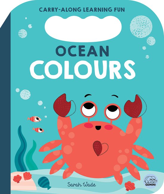 Carry-Along Learning Fun- Ocean Colours, Bobbie Brooks | 9781836160564 ...