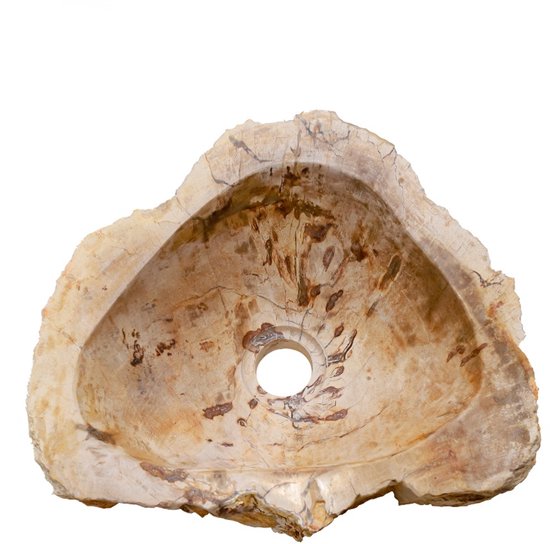 Teakea - Fossiel Waskom 37x31x14 cm - Versteend Hout - Unieke ...