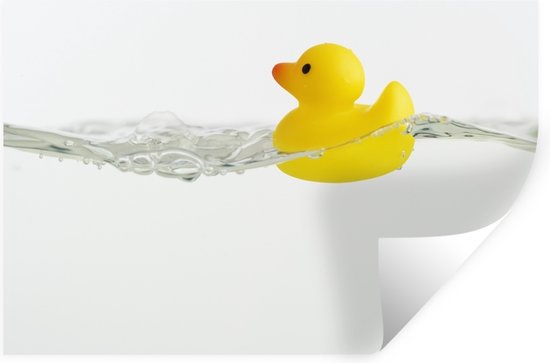 Muursticker Bad eend op witte achtergrond - Bad eend inwater - 60x40 cm ...