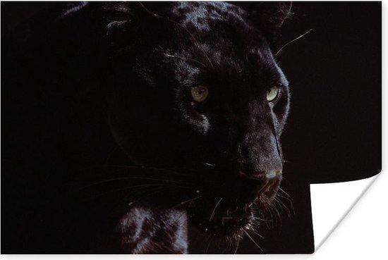 Poster Panter - Dier - Zwart - 180x120 cm XXL | bol.com