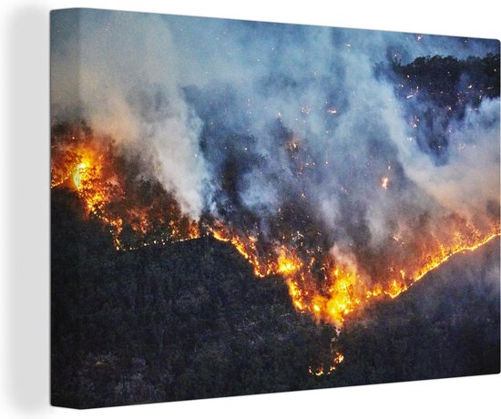 Canvas Schilderij Bos - Brand - Vlam - 180x120 cm - Wanddecoratie XXL ...