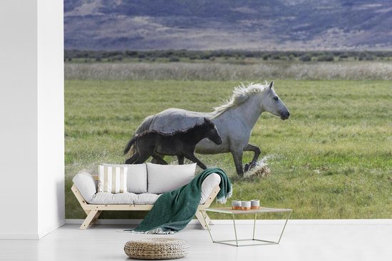 Behang - Fotobehang Paarden - Veulen - Bruin - Breedte 330 cm x hoogte ...