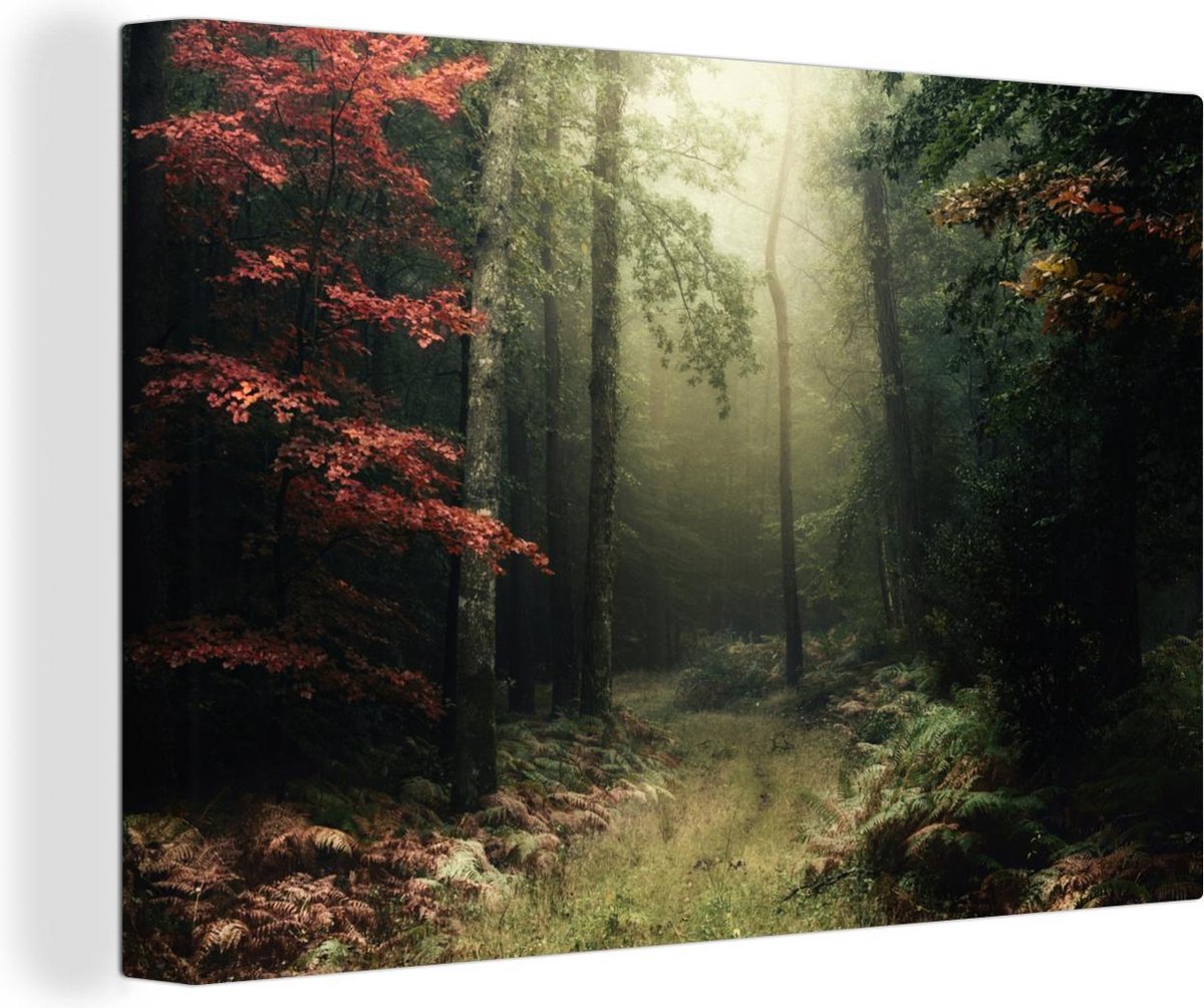 Canvas Schilderij Donker Bos - Bomen - Lichtinval - Natuur ...