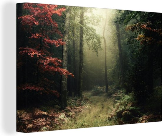 Canvas Schilderij Donker Bos - Bomen - Lichtinval - Natuur - Schilderijen op Canvas -... | bol