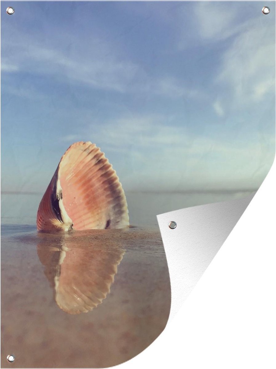 Tuin decoratie Schelp -Strand - Zee - 30x40 cm | bol.com