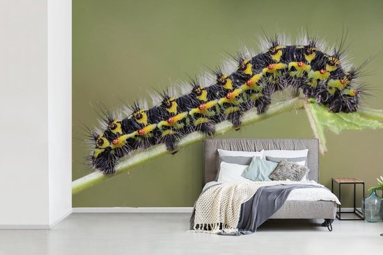 Fotobehang Rupsen - zwarte rups op plant fotobehang vinyl breedte 330 ...
