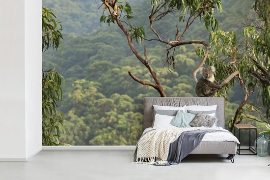 Behang - Fotobehang Koala in de boom in het bos in Australië - Breedte ...